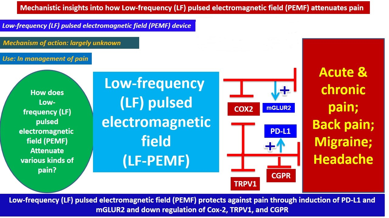 Pulsed Electromagnetic Field Therapy (PEMF) - Samvedna Pain Clinic